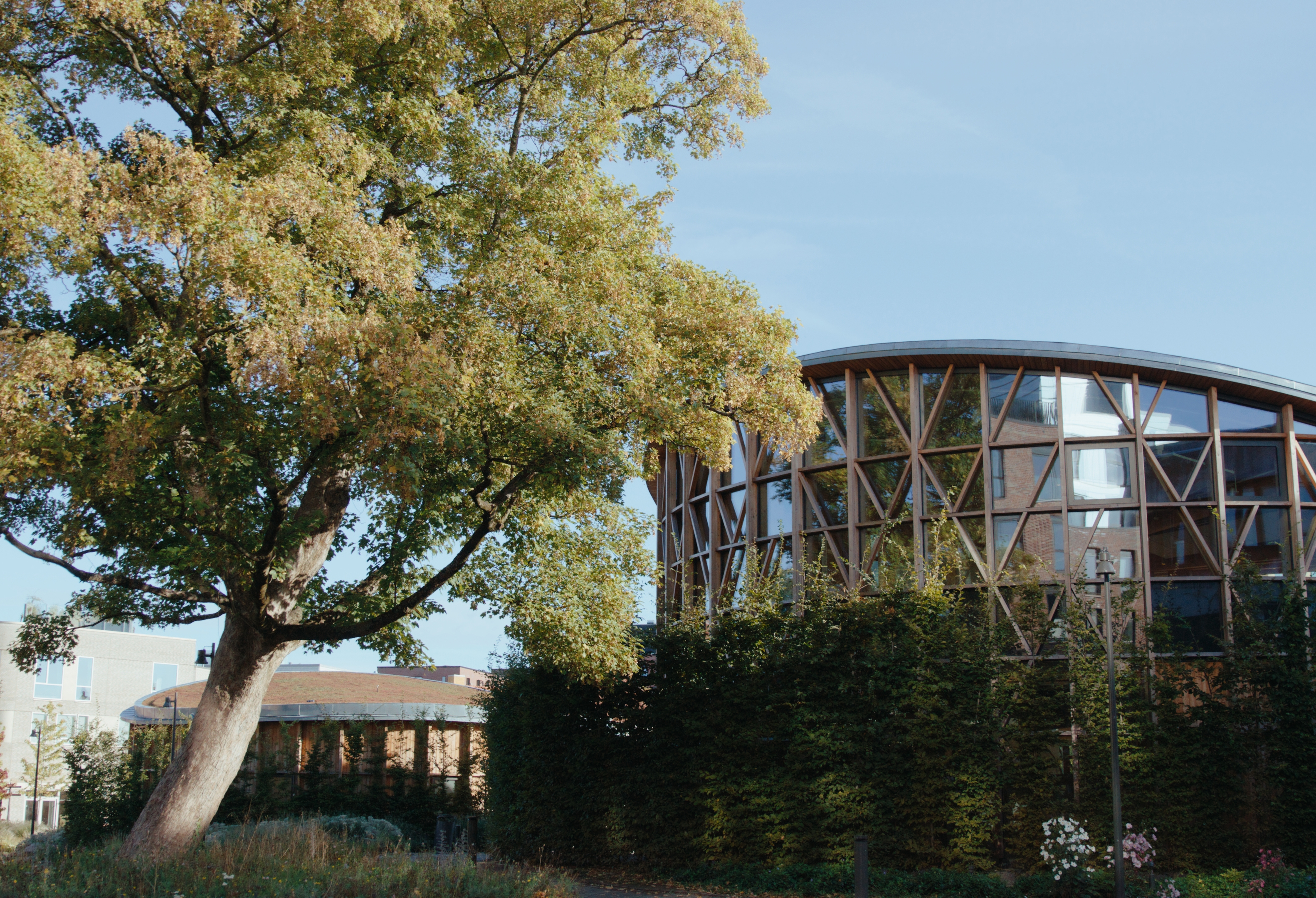 H.C. Andersen’s House by Kengo Kuma & Associates | VOLA